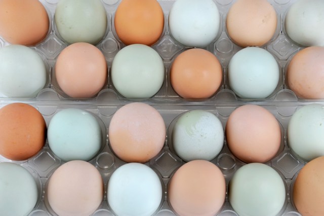 Huevos de colores: ¿por qué, cómo y quién? - Guia 2025 • Pollo.info